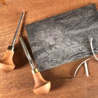 Drawing – Kate Chappell